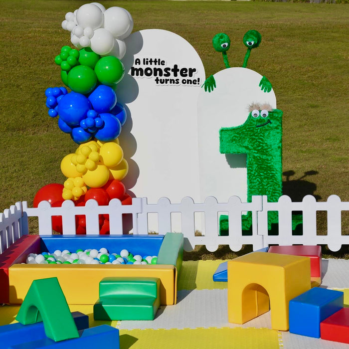 LITTLE MONSTER 1ST BIRTHDAY PACKAGE